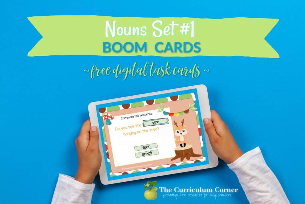 Boom Cards: Nouns Set #1 - The Curriculum Corner 123