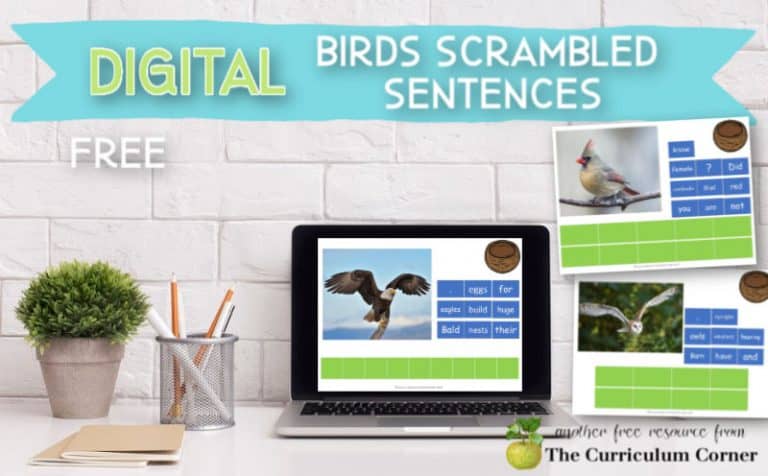 Digital: Birds Scrambled Sentences - The Curriculum Corner 123