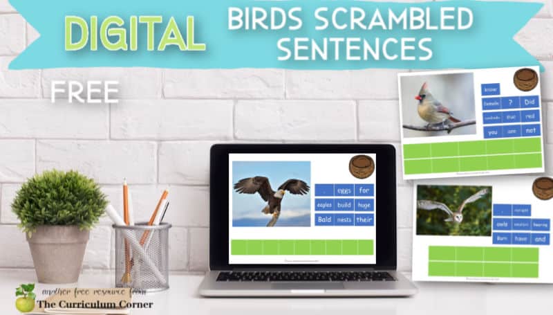 Digital: Birds Scrambled Sentences - The Curriculum Corner 123