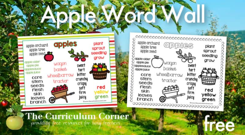 Apple Word Wall - The Curriculum Corner 123