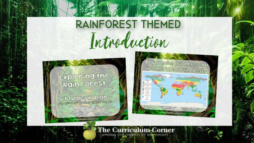 rainforest introcution - The Curriculum Corner 123