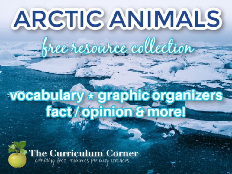 Focus on: Arctic Animals - The Curriculum Corner 123
