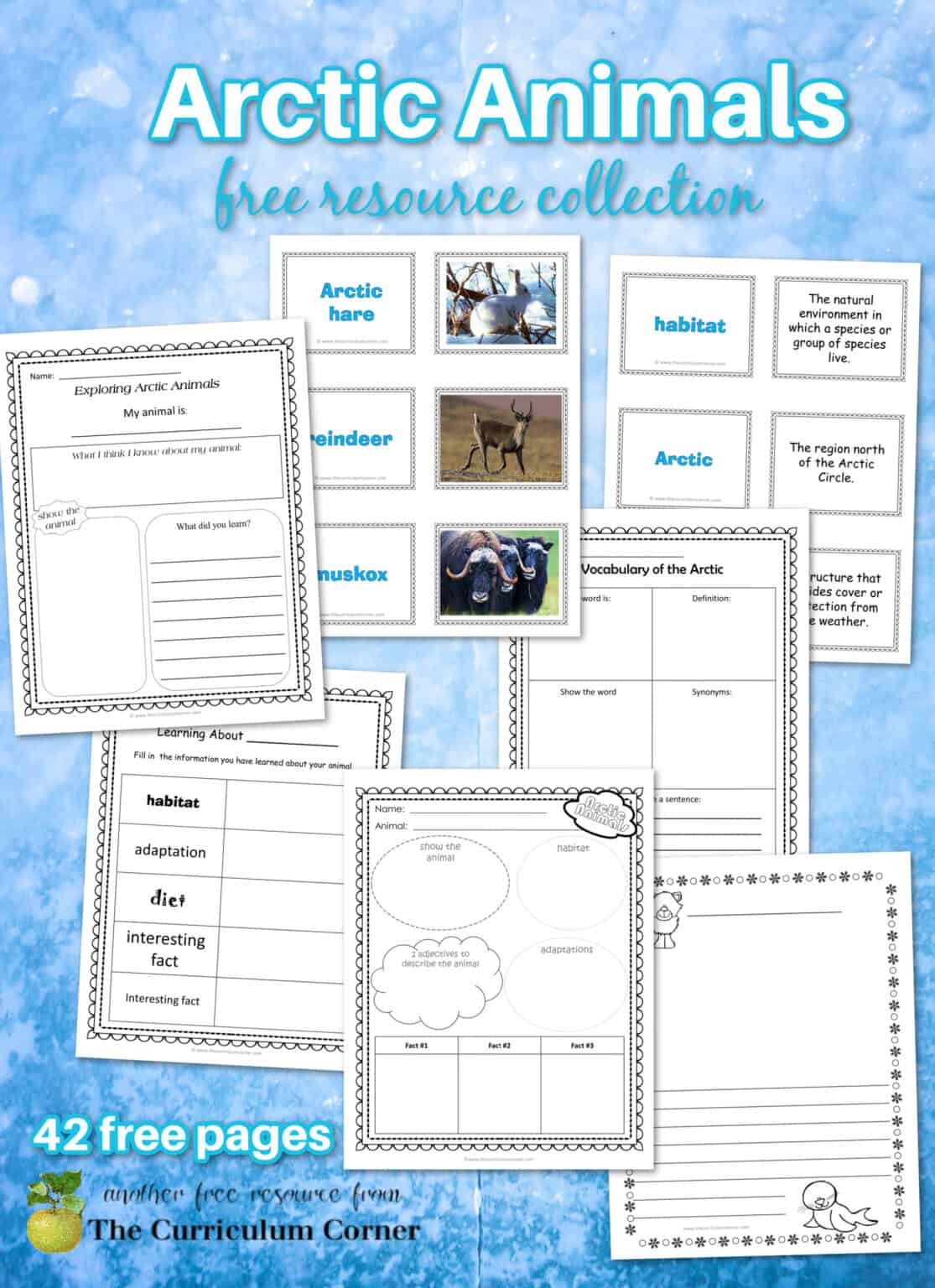 Focus on: Arctic Animals - The Curriculum Corner 123