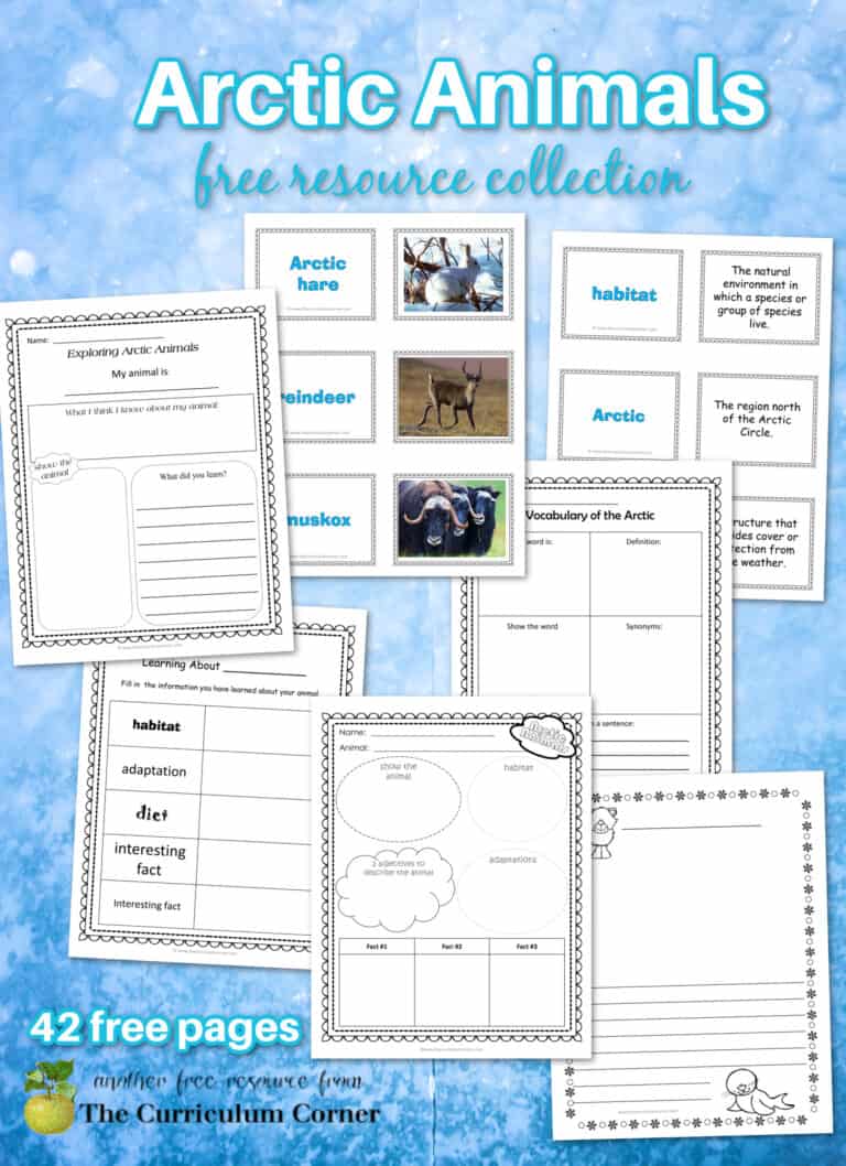 Focus on: Arctic Animals - The Curriculum Corner 123