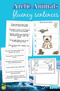 Arctic Animals Fluency Sentences - The Curriculum Corner 123