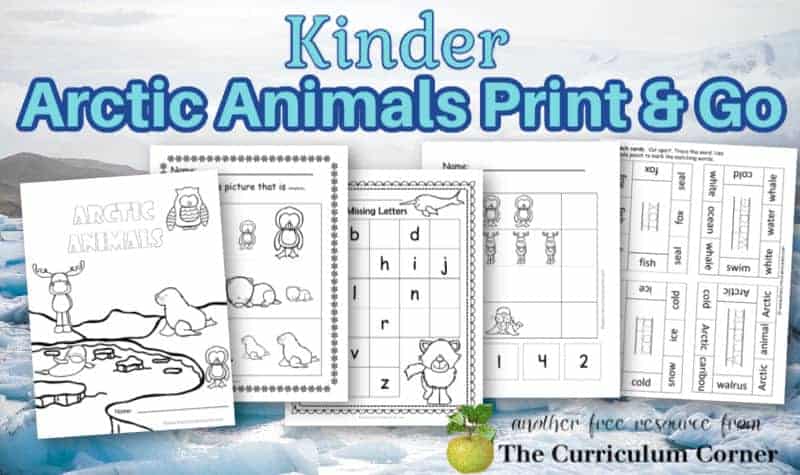 arctic-animals-kinder-print-go-fb.jpgfit8002c475ssl1 - The Curriculum ...