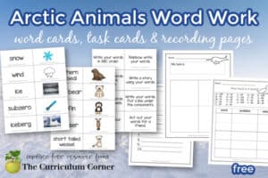 Arctic Word Cards w/ Activities - The Curriculum Corner 123