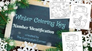 Winter Collection for Teachers - The Curriculum Corner 123