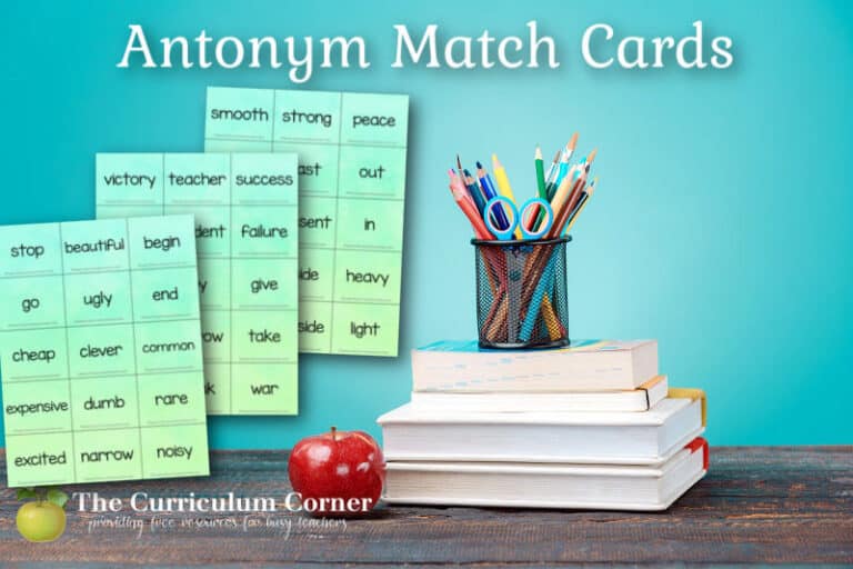 Antonym Matching Cards - The Curriculum Corner 123