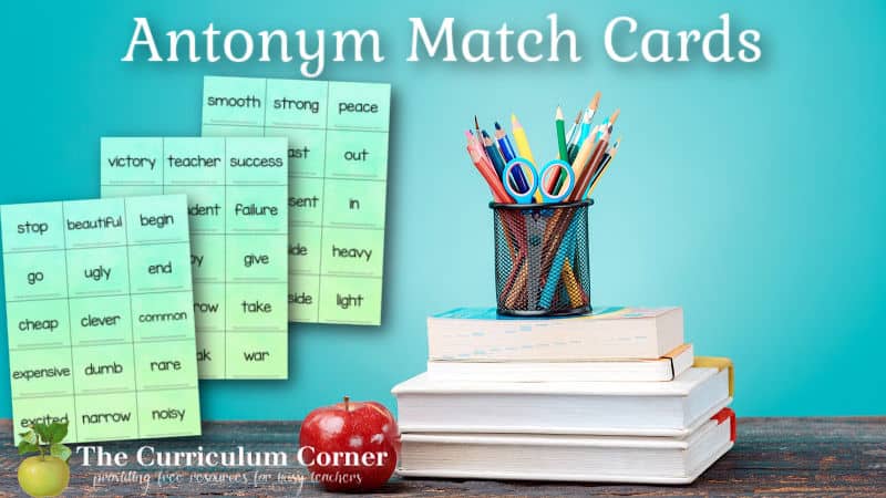 Antonym Matching Cards - The Curriculum Corner 123