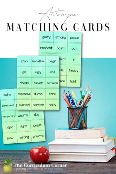 Antonym Matching Cards - The Curriculum Corner 123
