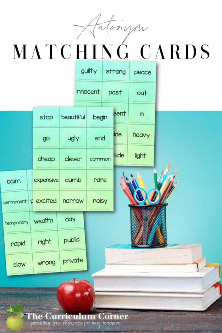 Antonym Matching Cards - The Curriculum Corner 123