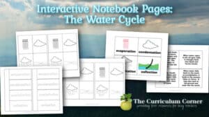 The Water Cycle Interactive Notebook Pages - The Curriculum Corner 123