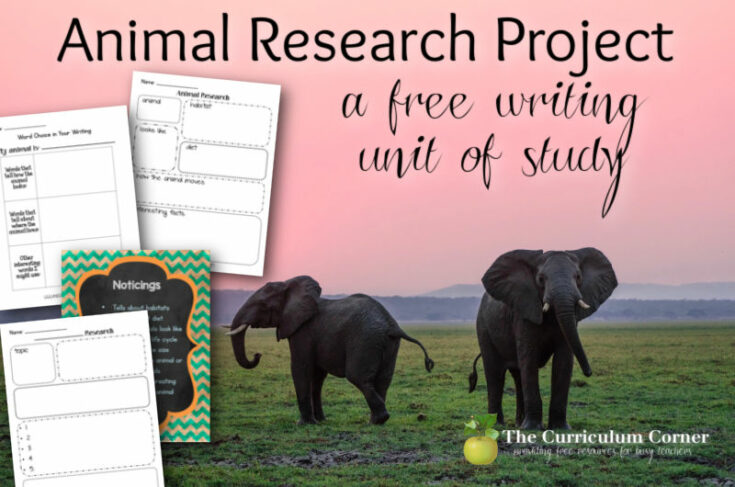 Writing Unit of Study: Animal Research Project - The Curriculum Corner 123