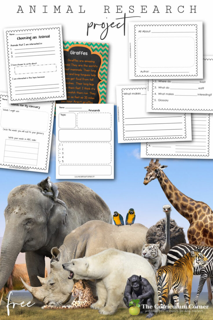 Writing Unit of Study: Animal Research Project - The Curriculum Corner 123