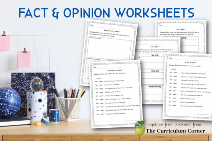 Fact & Opinion Worksheets - The Curriculum Corner 123