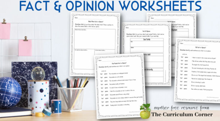 fact opinion worksheets fb - The Curriculum Corner 123
