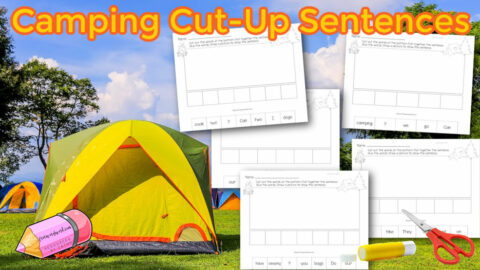 Camping Collection for the Classroom - The Curriculum Corner 123