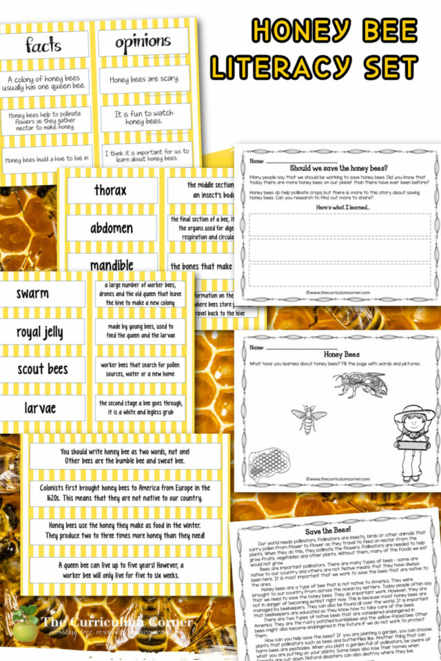 Honey Bees Literacy Set - The Curriculum Corner 123