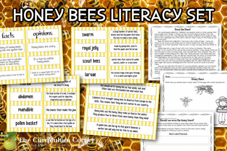 Honey Bees Literacy Set - The Curriculum Corner 123
