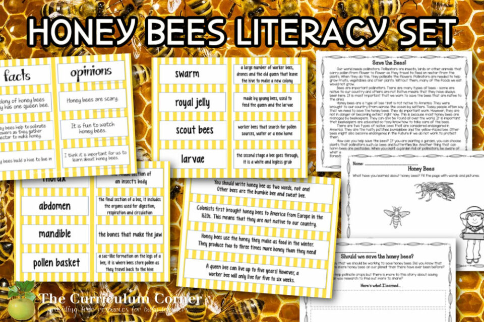 Honey Bees Literacy Set - The Curriculum Corner 123