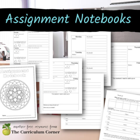 Home - The Curriculum Corner 123