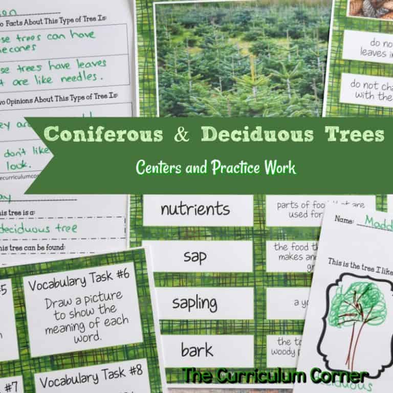 Deciduous & Coniferous Trees Science Informational Text Activities from ...