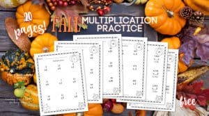 Computation Pages: Fall Multiplication - The Curriculum Corner 4-5-6