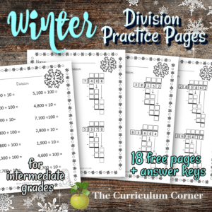 Winter Cover-It Multiplication & Division Games - The Curriculum Corner ...