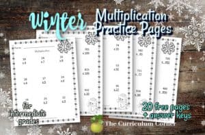 Computation Pages: Winter Multiplication - The Curriculum Corner 4-5-6