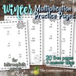 Winter Cover-It Multiplication & Division Games - The Curriculum Corner ...