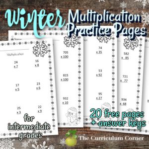 Winter Cover-It Multiplication & Division Games - The Curriculum Corner ...