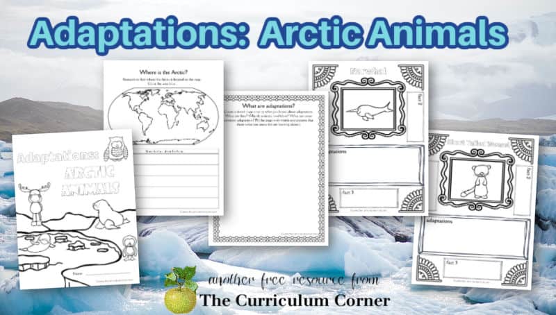 Adaptations: Arctic Animals - The Curriculum Corner 4-5-6