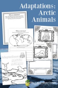 Adaptations: Arctic Animals - The Curriculum Corner 4-5-6