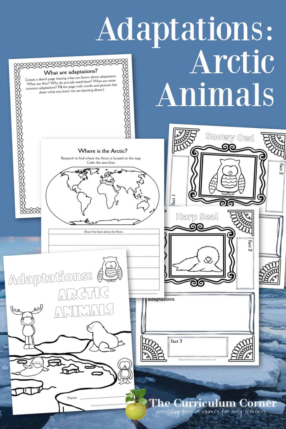 Adaptations: Arctic Animals - The Curriculum Corner 4-5-6