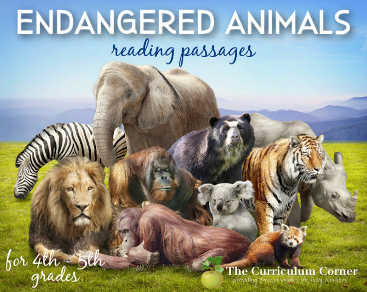 Endangered Animals Passages - The Curriculum Corner 4-5-6