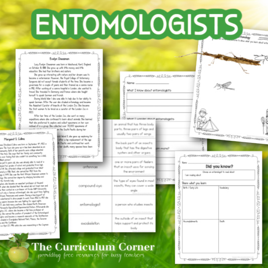 Homepage - The Curriculum Corner 4-5-6