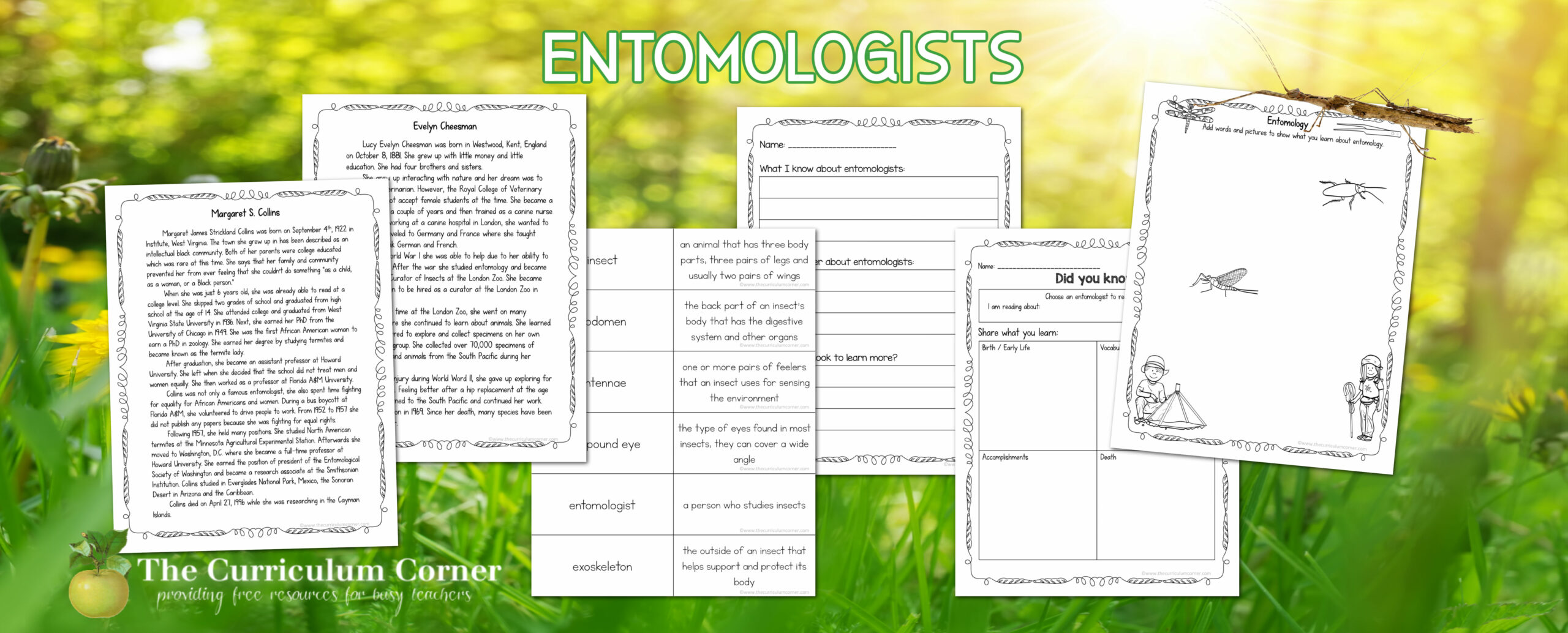 Focus On: Entomologists - The Curriculum Corner 4-5-6