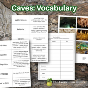 Informational Text Archives - The Curriculum Corner 4-5-6