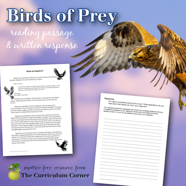 Homepage - The Curriculum Corner 4-5-6