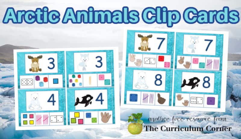 Arctic Animals Clip Cards for Counting - The Kinder Corner