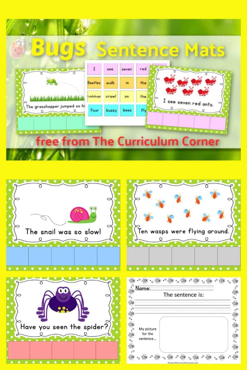 Bugs Themed Sentence Mats - The Kinder Corner
