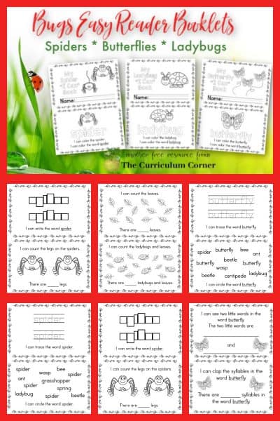 Bugs Easy Reader Booklets - The Kinder Corner