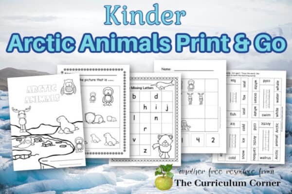 Kinder Arctic Learning Print & Go Pages - The Kinder Corner
